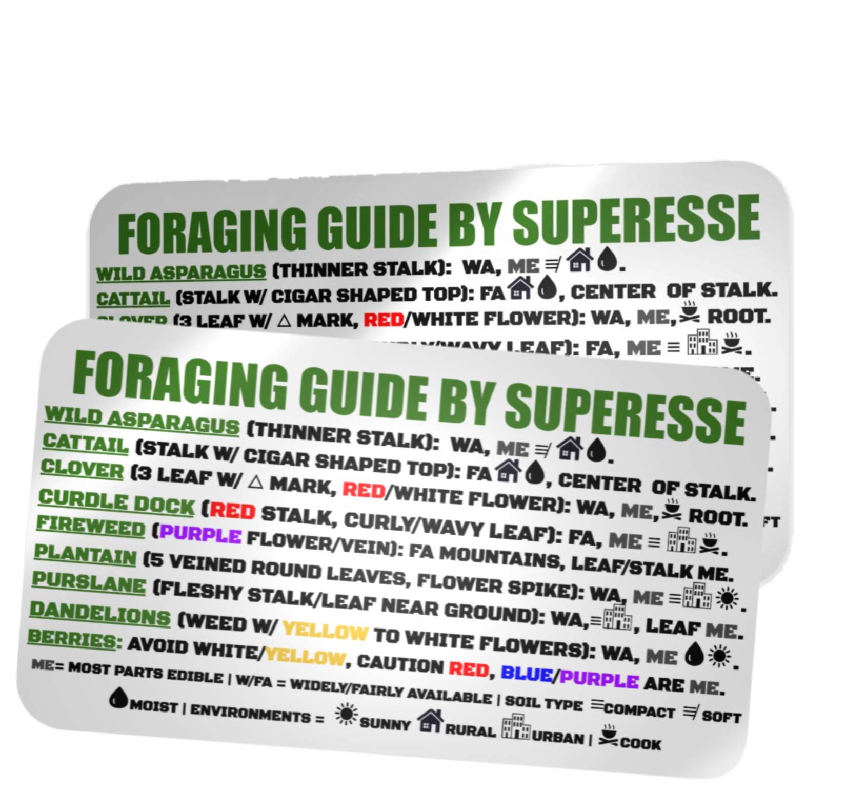 Foraging Guide Decal - Plants and Edibles Quick Identification Referen ...